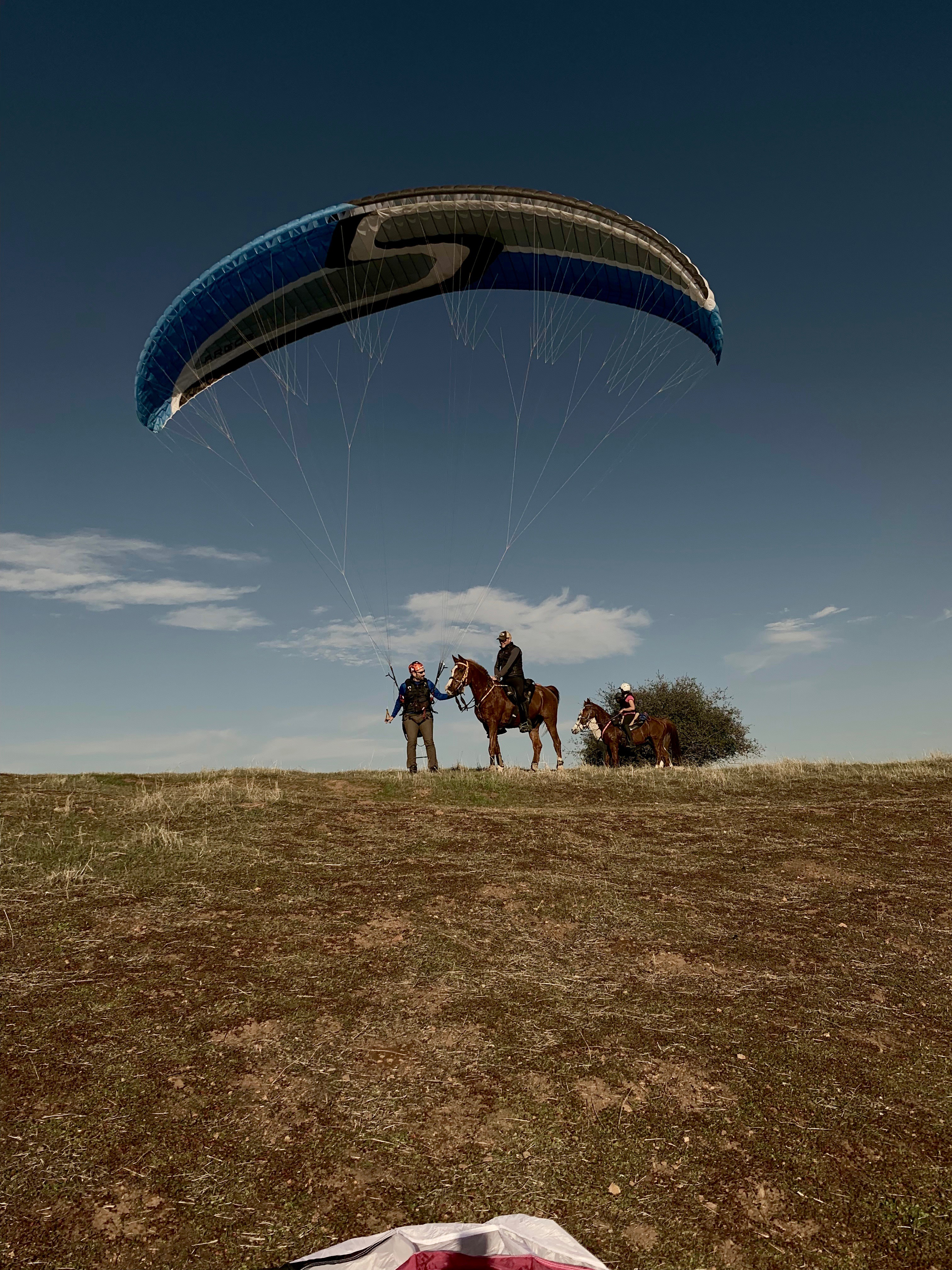 Parahorsemanship – Air Addict Paragliding
